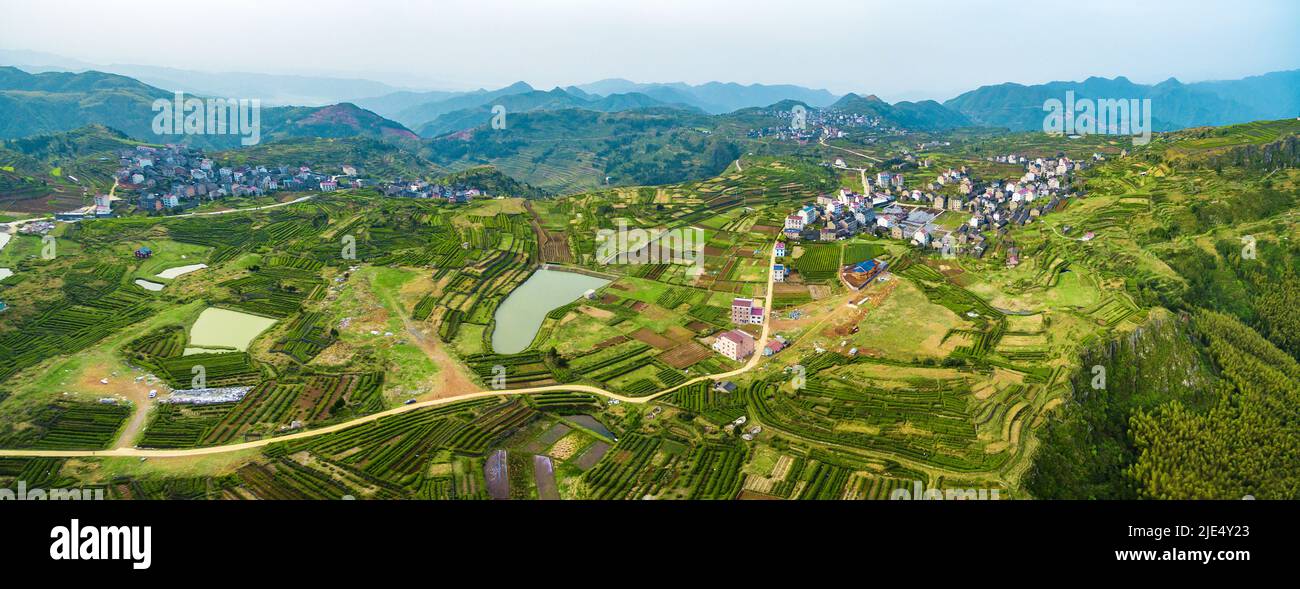 Linhai zhejiang taizhou LAN Tian Shan tea plantations Stock Photo - Alamy