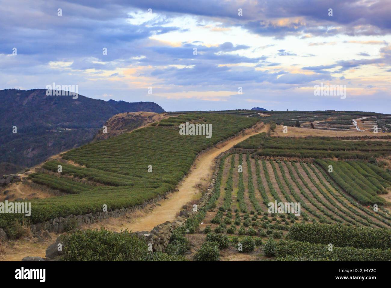 Lan tian shan hi-res stock photography and images - Alamy