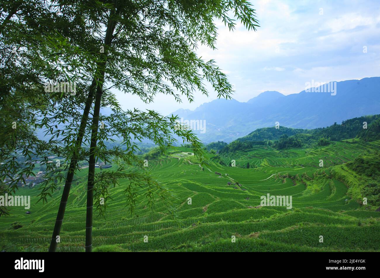 Zhejiang lishui hi-res stock photography and images - Alamy