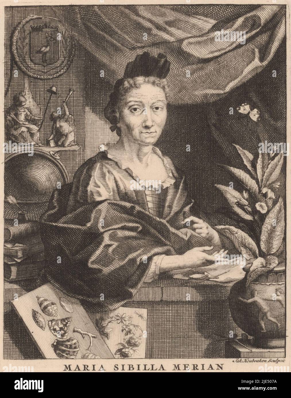 Maria sibylla merian maria sibilla merian hi-res stock photography and ...