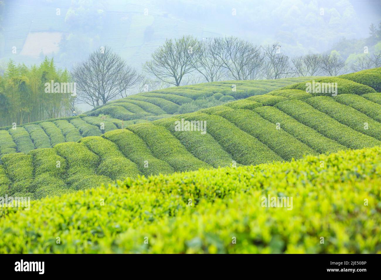 Zhejiang huzhou hi-res stock photography and images - Alamy