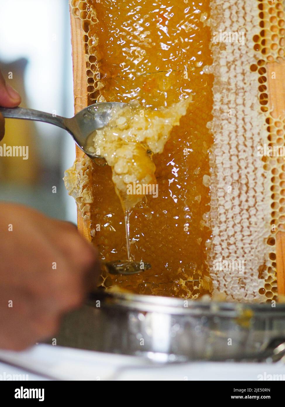 Natural raw honey being filtered ad dripped through a strainer to ...