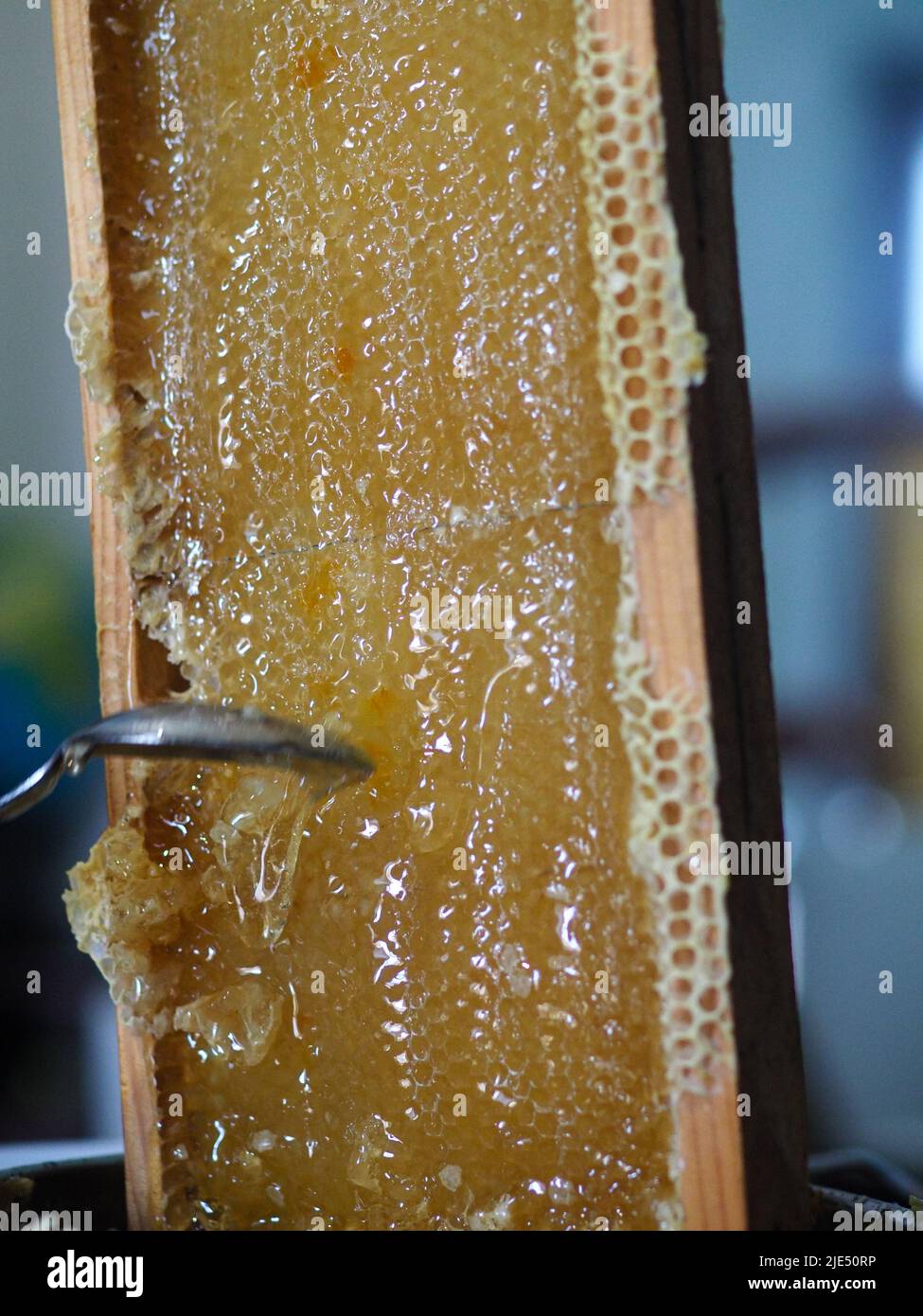 Natural raw honey being filtered ad dripped through a strainer to ...