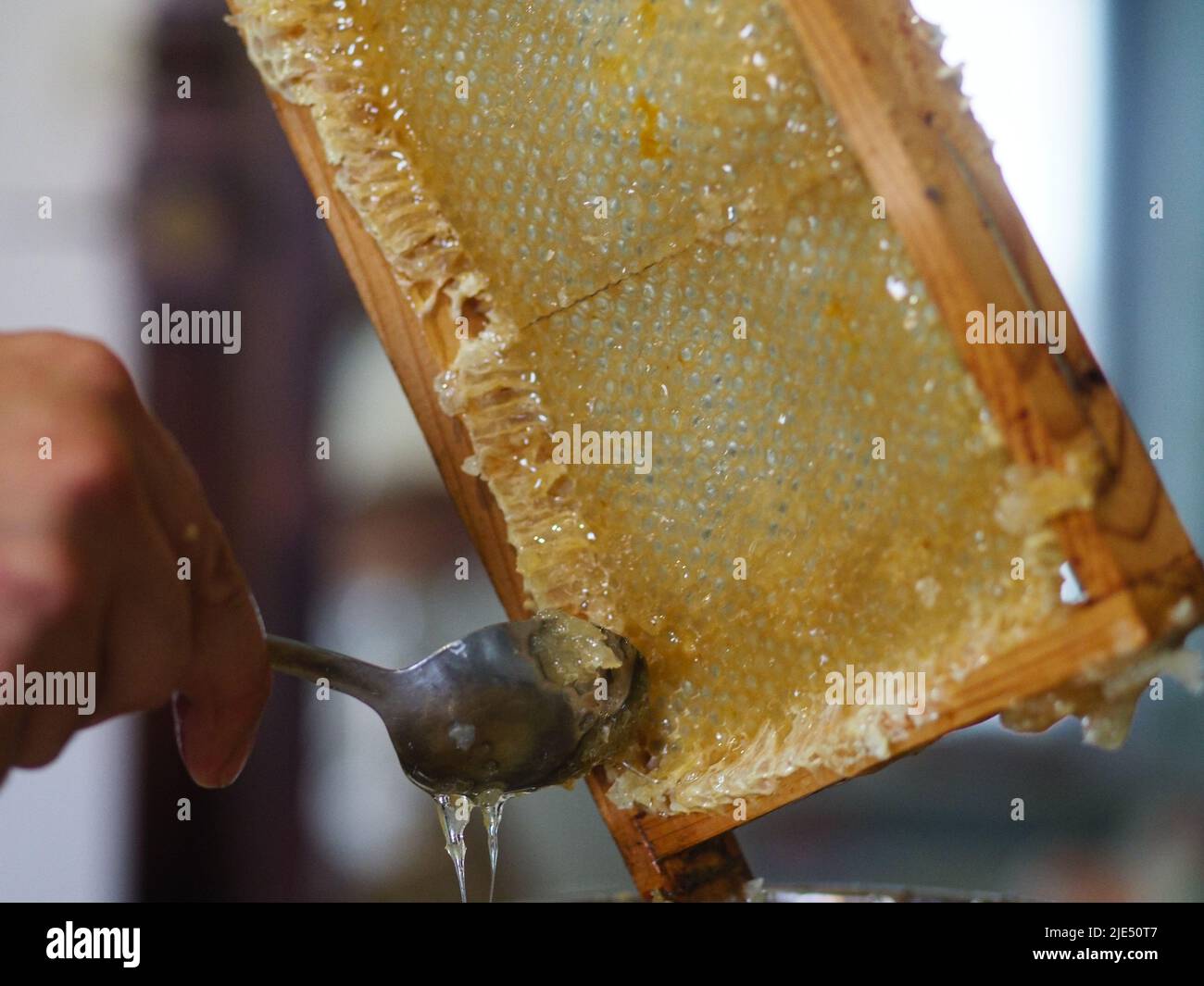 Natural raw honey being filtered ad dripped through a strainer to ...