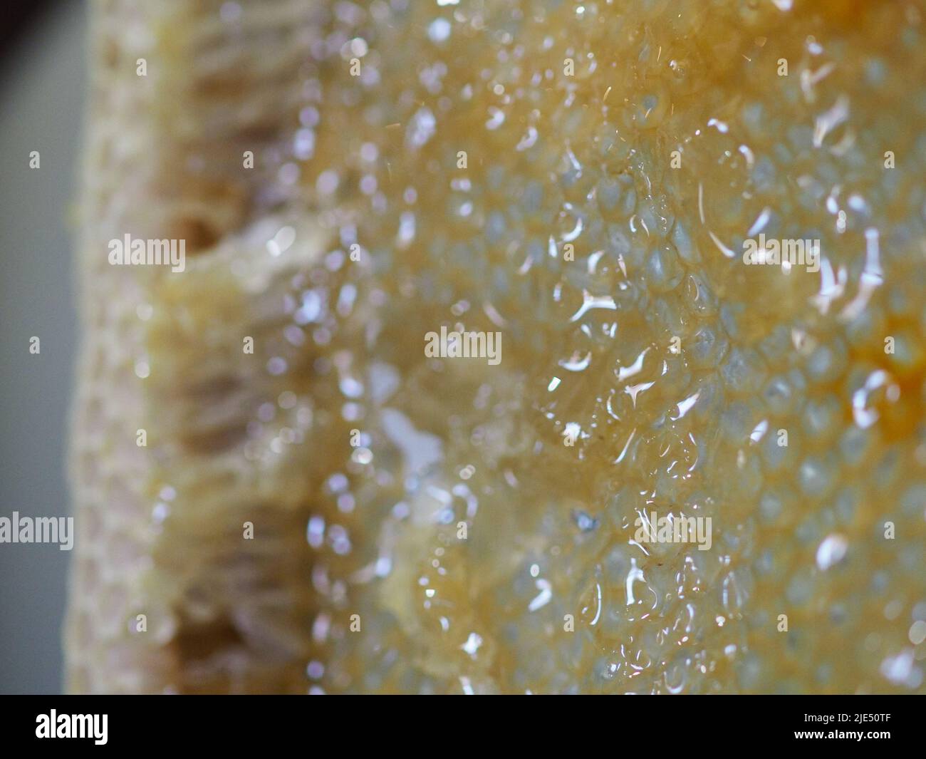 Natural raw honey being filtered ad dripped through a strainer to ...