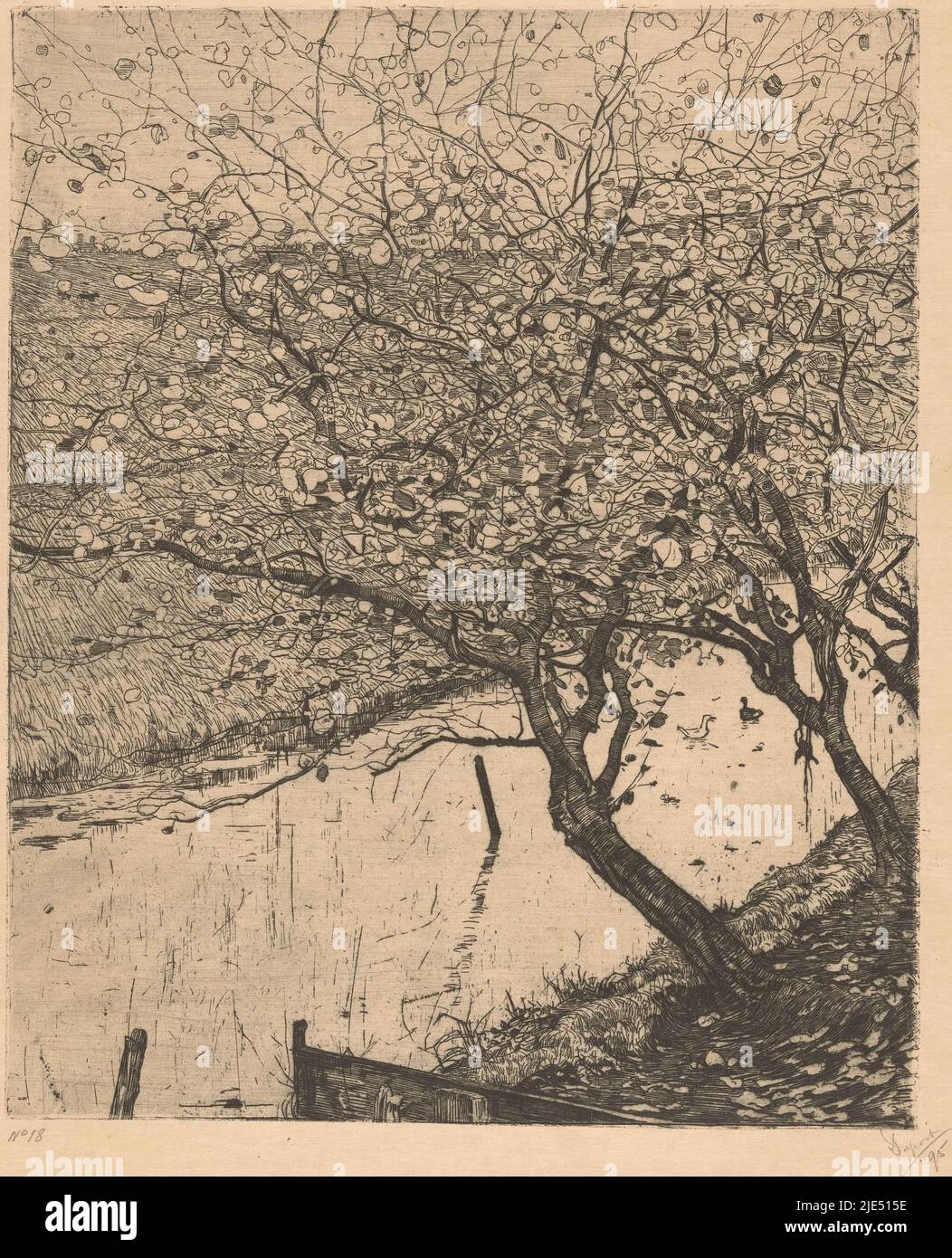 Ditch two water birds hi-res stock photography and images - Alamy