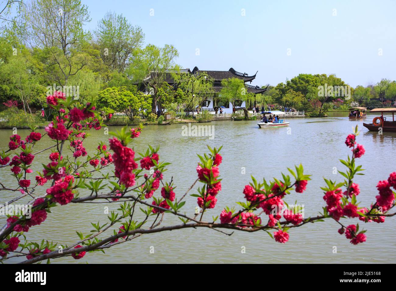 Reflection pavilions and lotus flowers hi-res stock photography and ...