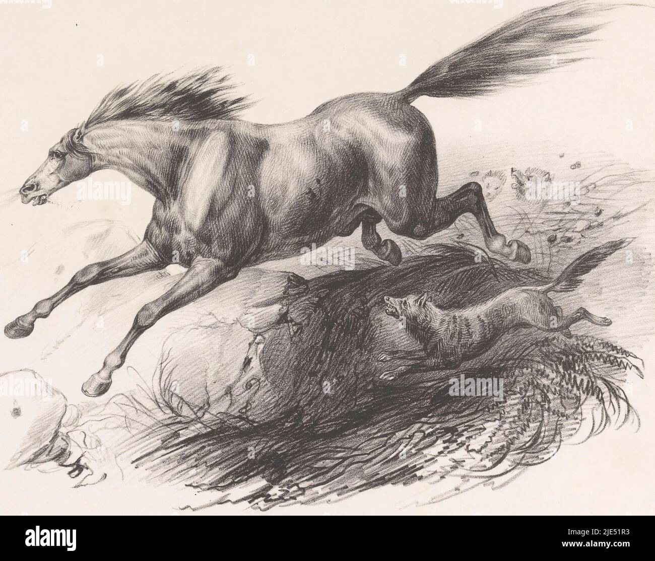 Victor adam horse hi-res stock photography and images - Alamy