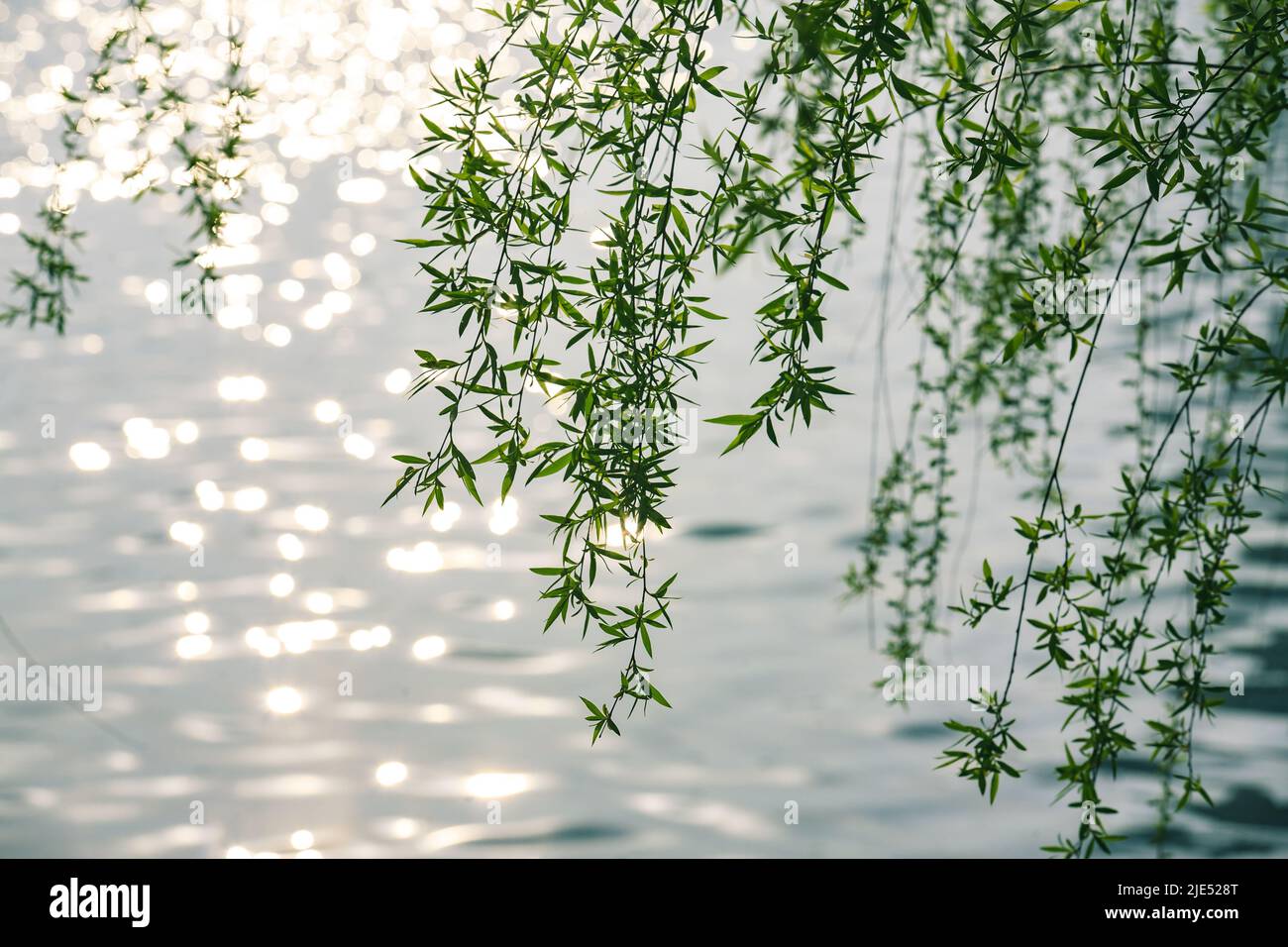 Jiangyan hi-res stock photography and images - Alamy