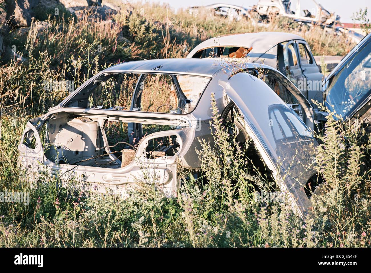Car dump, scrap metal. Close-up of an old abandoned car in a junkyard ...