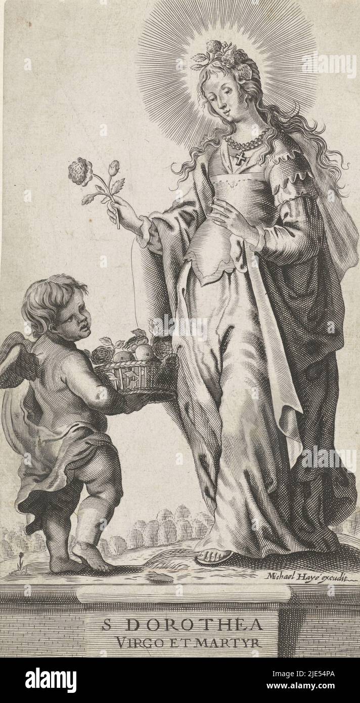 Rose dorothea hi-res stock photography and images - Alamy