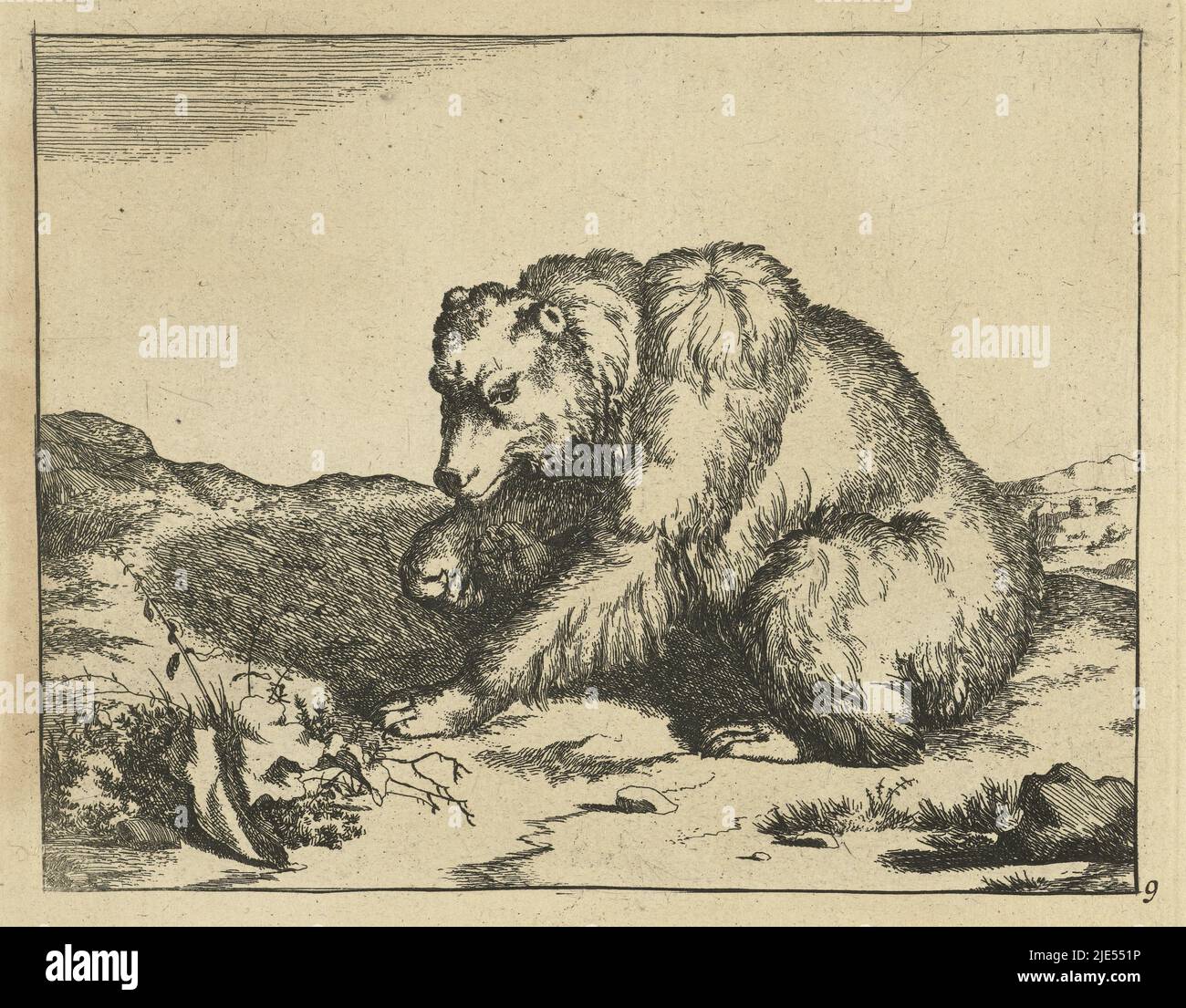 Seated bear, and profile Bears (series title), print maker: Marcus de ...