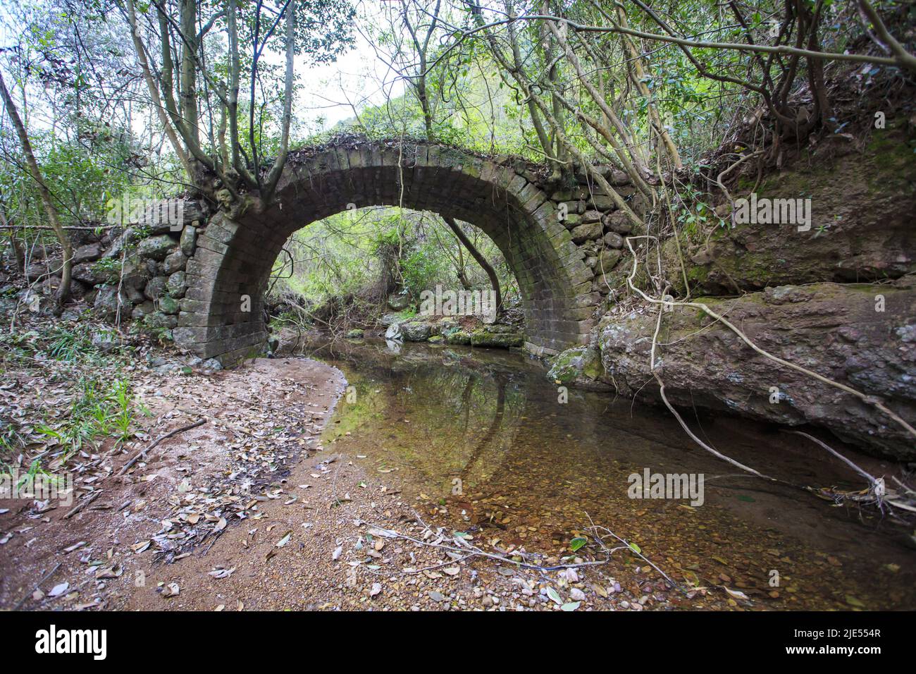 Zhejiang ningbo yinzhou ancient stone bridge Stock Photo - Alamy