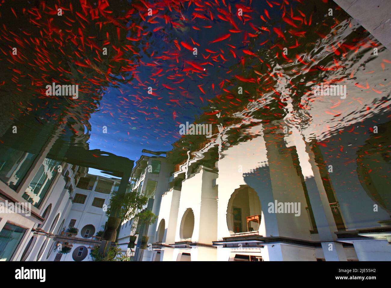 Zhejiang ningbo yinzhou purple fang Lin sensibility pool Stock Photo ...