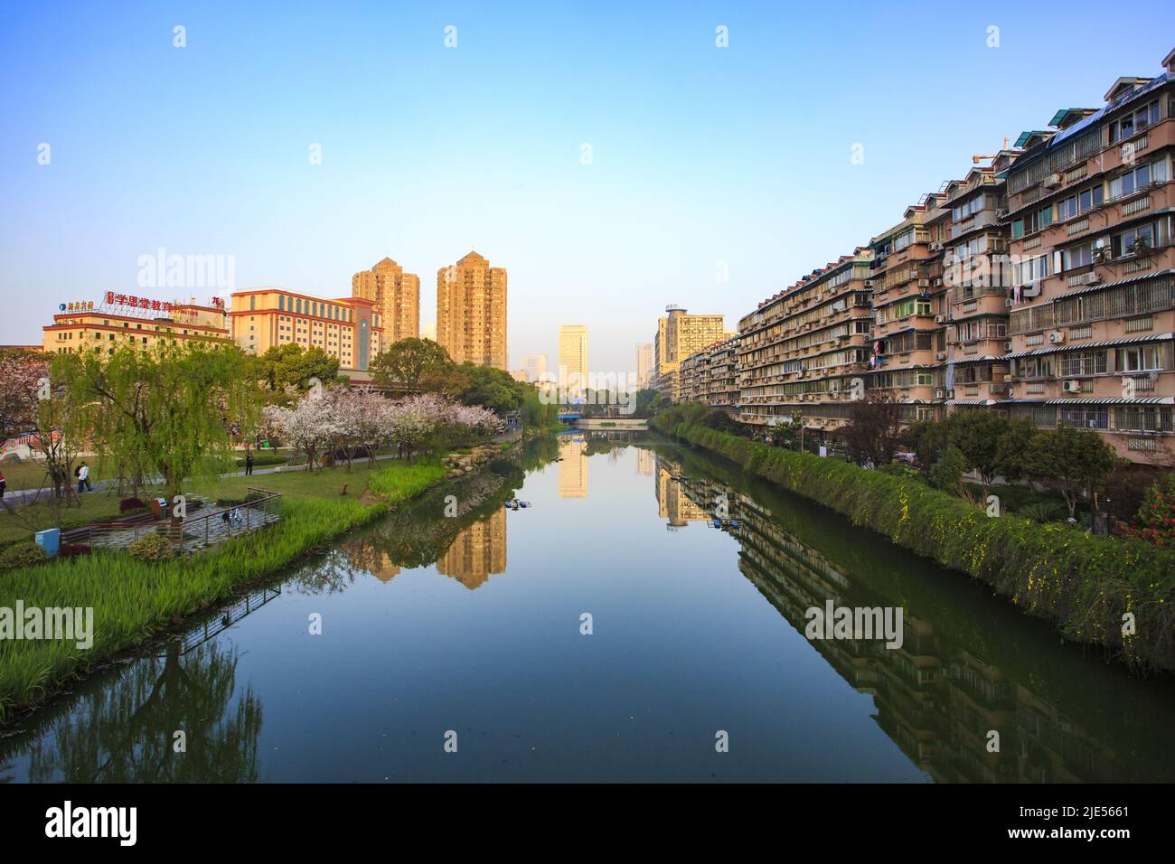 Zhejiang ningbo yinzhou cherry blossom park cherry blossoms Stock Photo ...