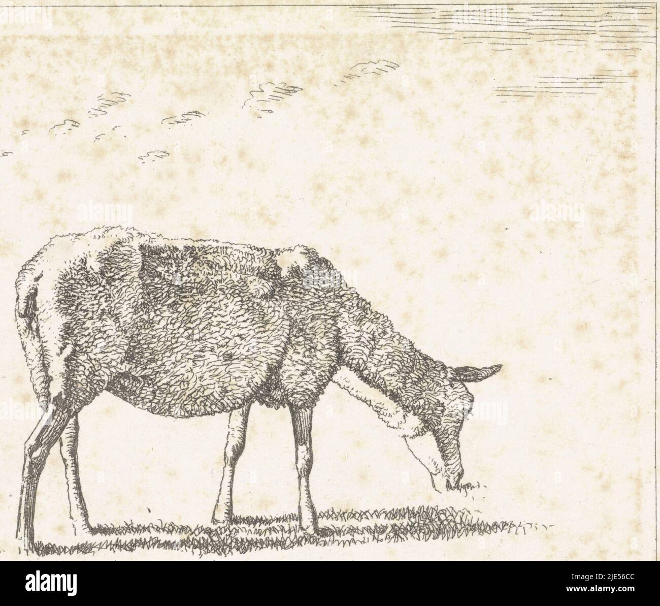 Sheep to the right, print maker: Wouter Johannes van Troostwijk ...