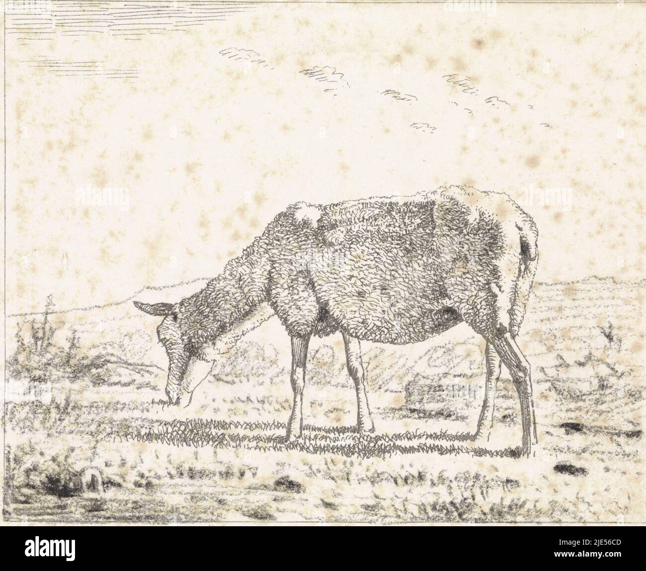 W 126 mm h 100 mm hi-res stock photography and images - Alamy