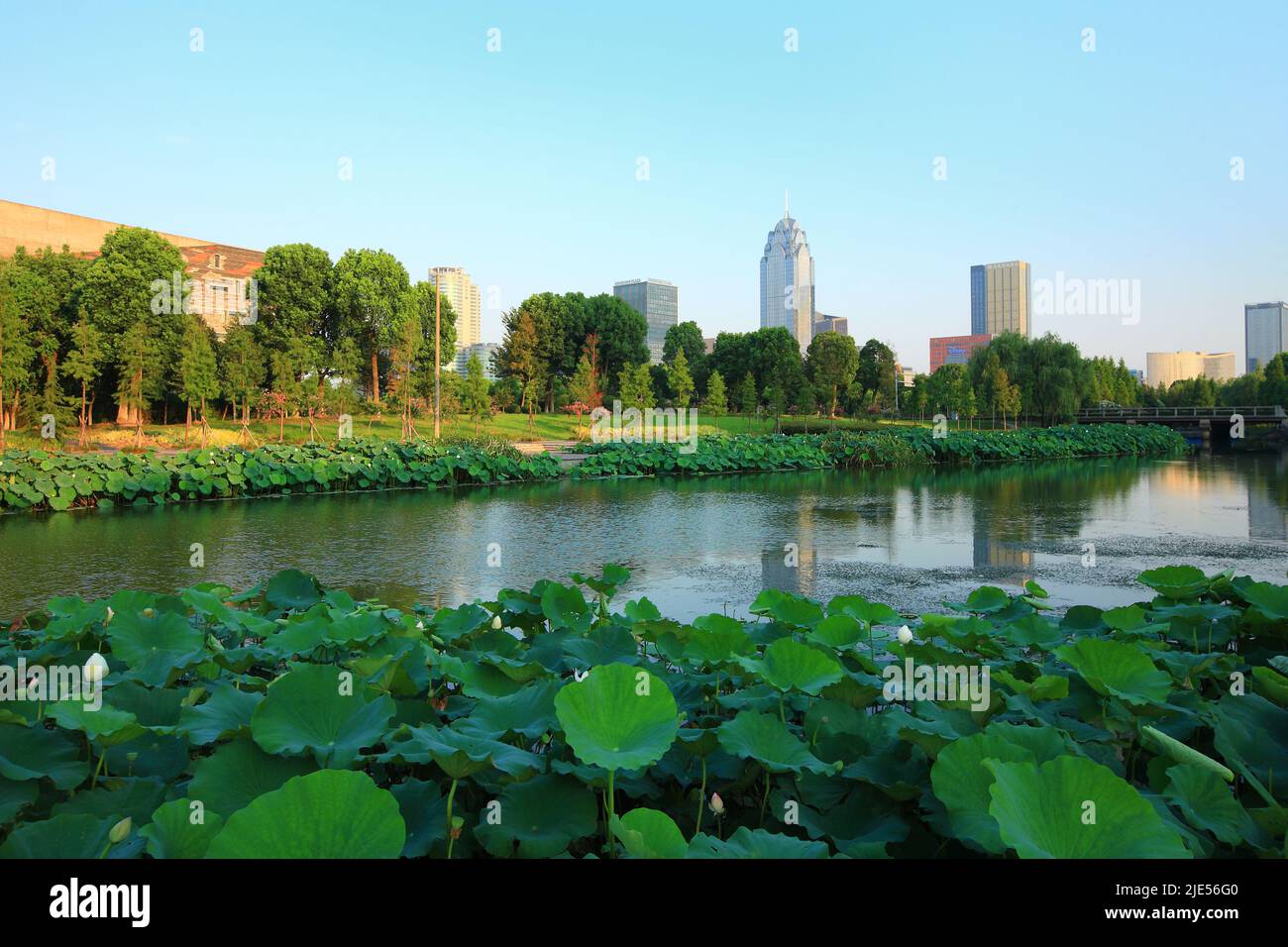 Zhejiang ningbo yinzhou yinzhou park lake Stock Photo - Alamy