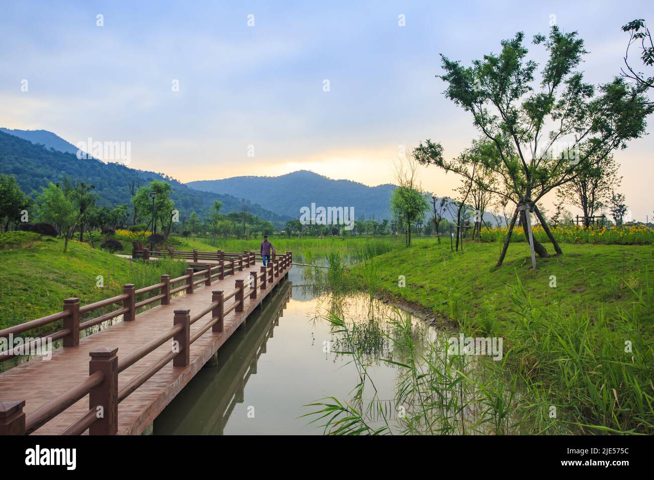 Zhejiang ningbo yinzhou five township river water environmental ...