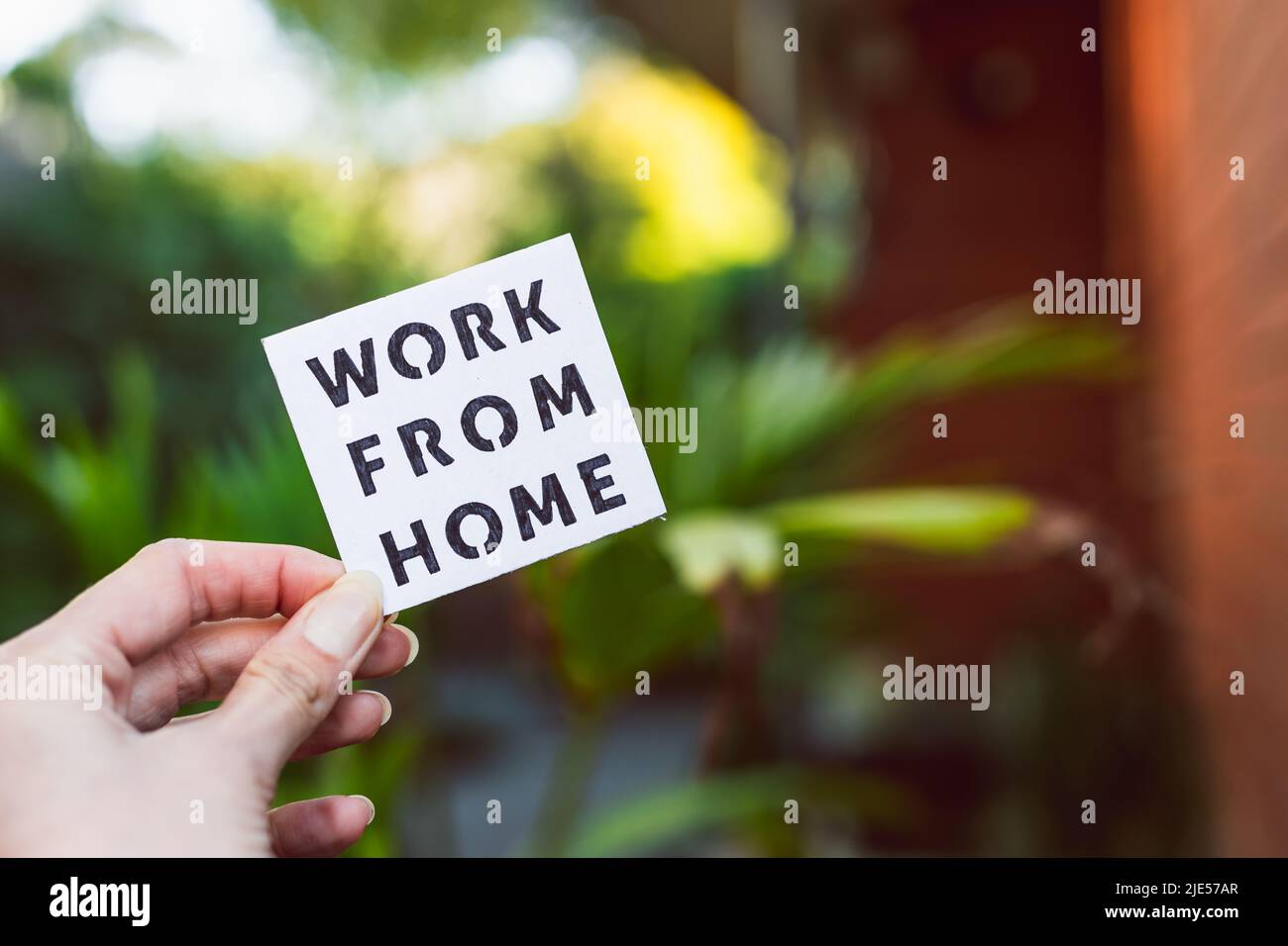 work from home sign being hold in front of out of focus lush green ...