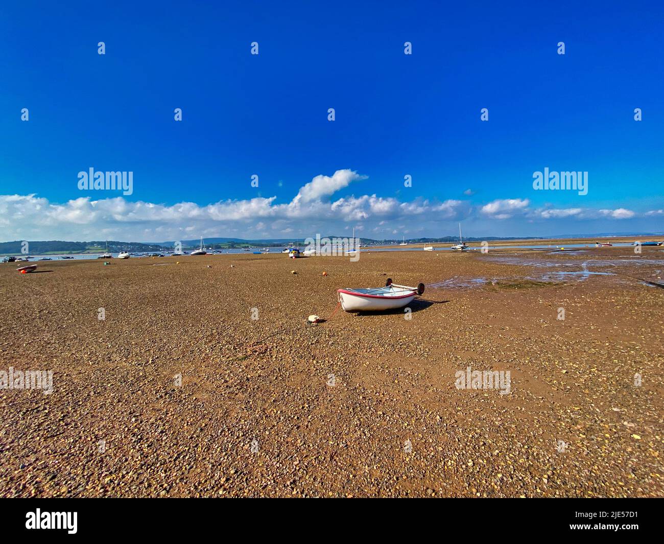 Exe estuary birds hi-res stock photography and images - Alamy