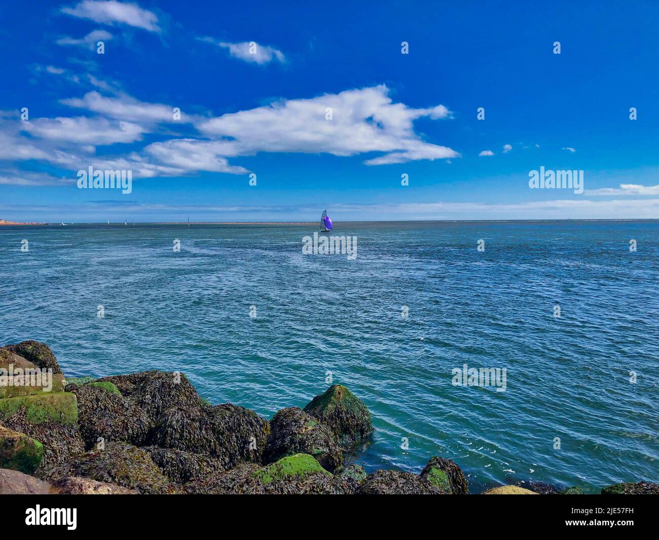 Exmouth summer boat lake hi-res stock photography and images - Alamy