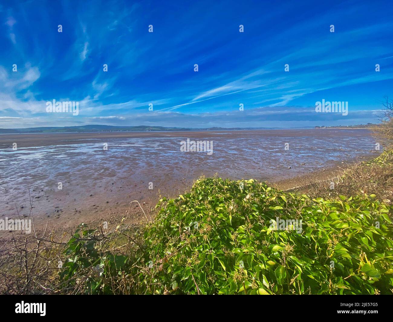The Exe Estuary, Exmouth, Devon Stock Photo - Alamy
