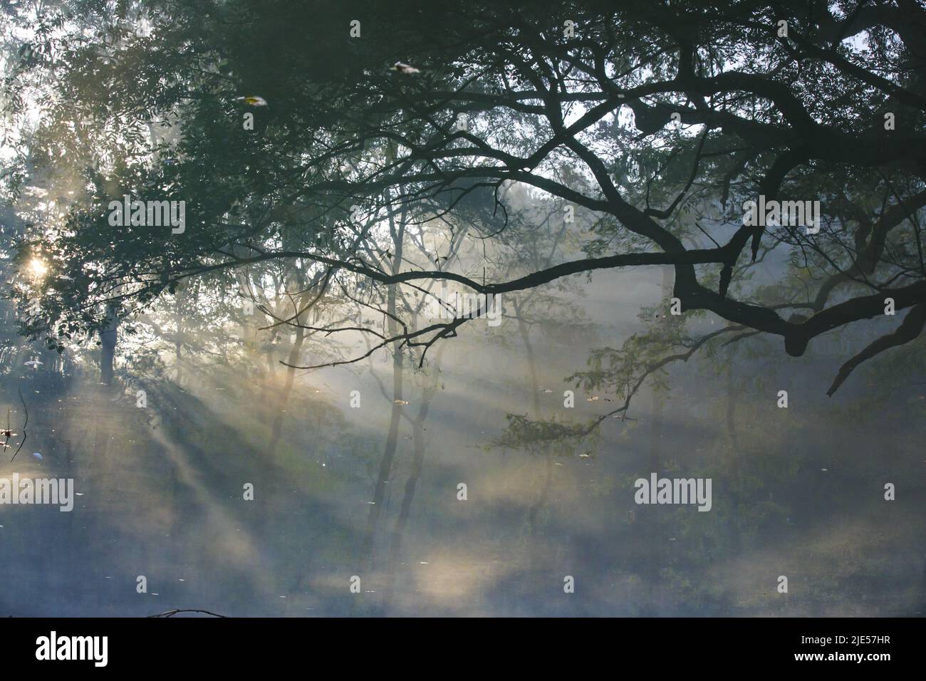 Nan tian tong temple hi-res stock photography and images - Alamy