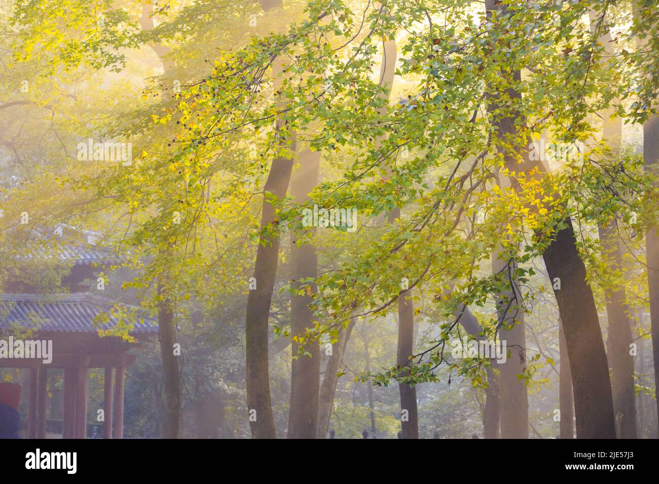 Nan tian tong temple hi-res stock photography and images - Alamy