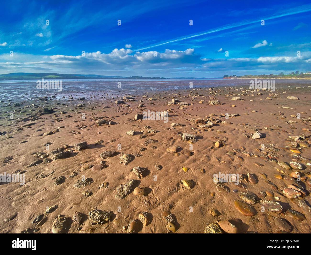 Exe estuary birds hi-res stock photography and images - Alamy