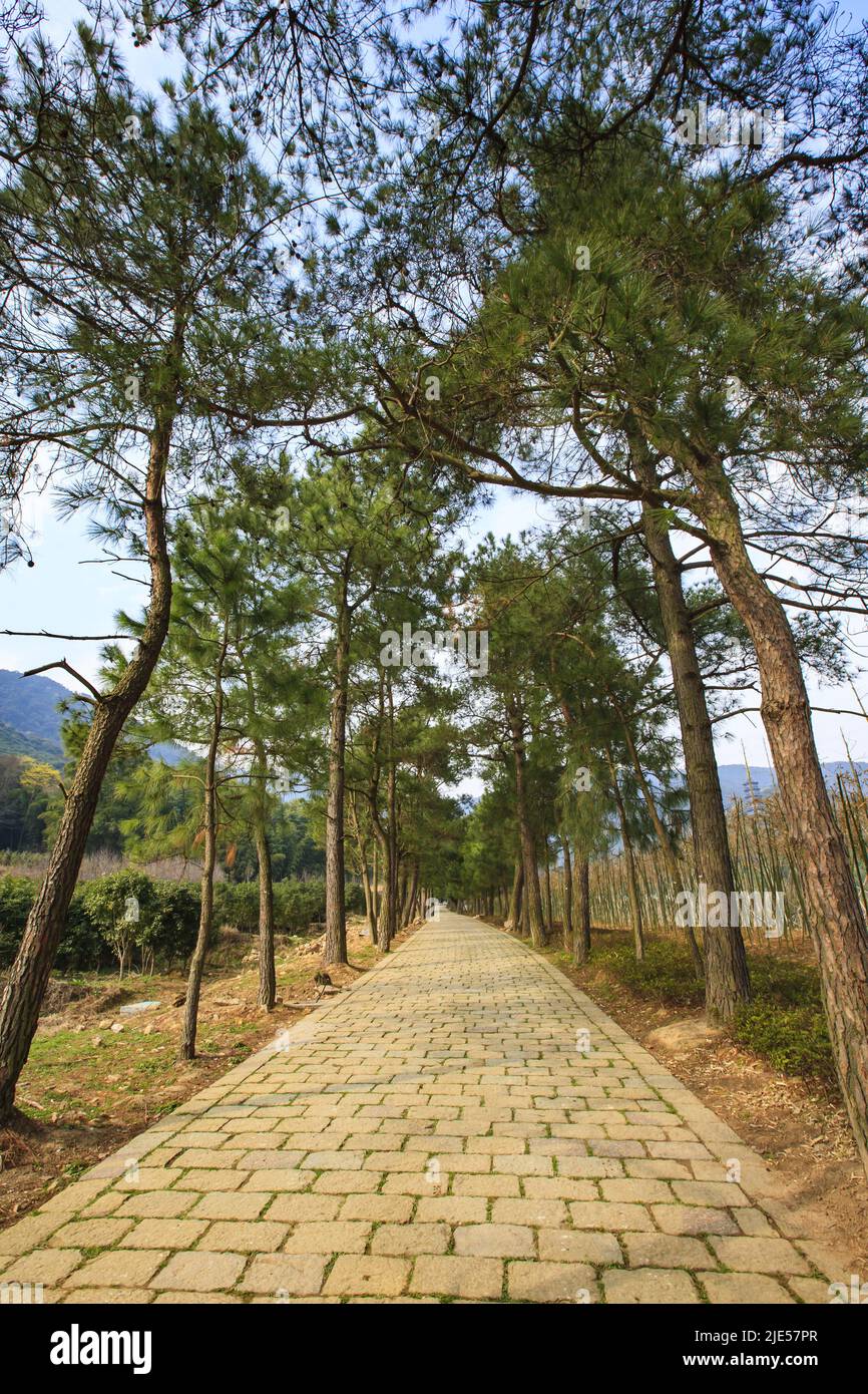 Nan tian tong temple hi-res stock photography and images - Alamy