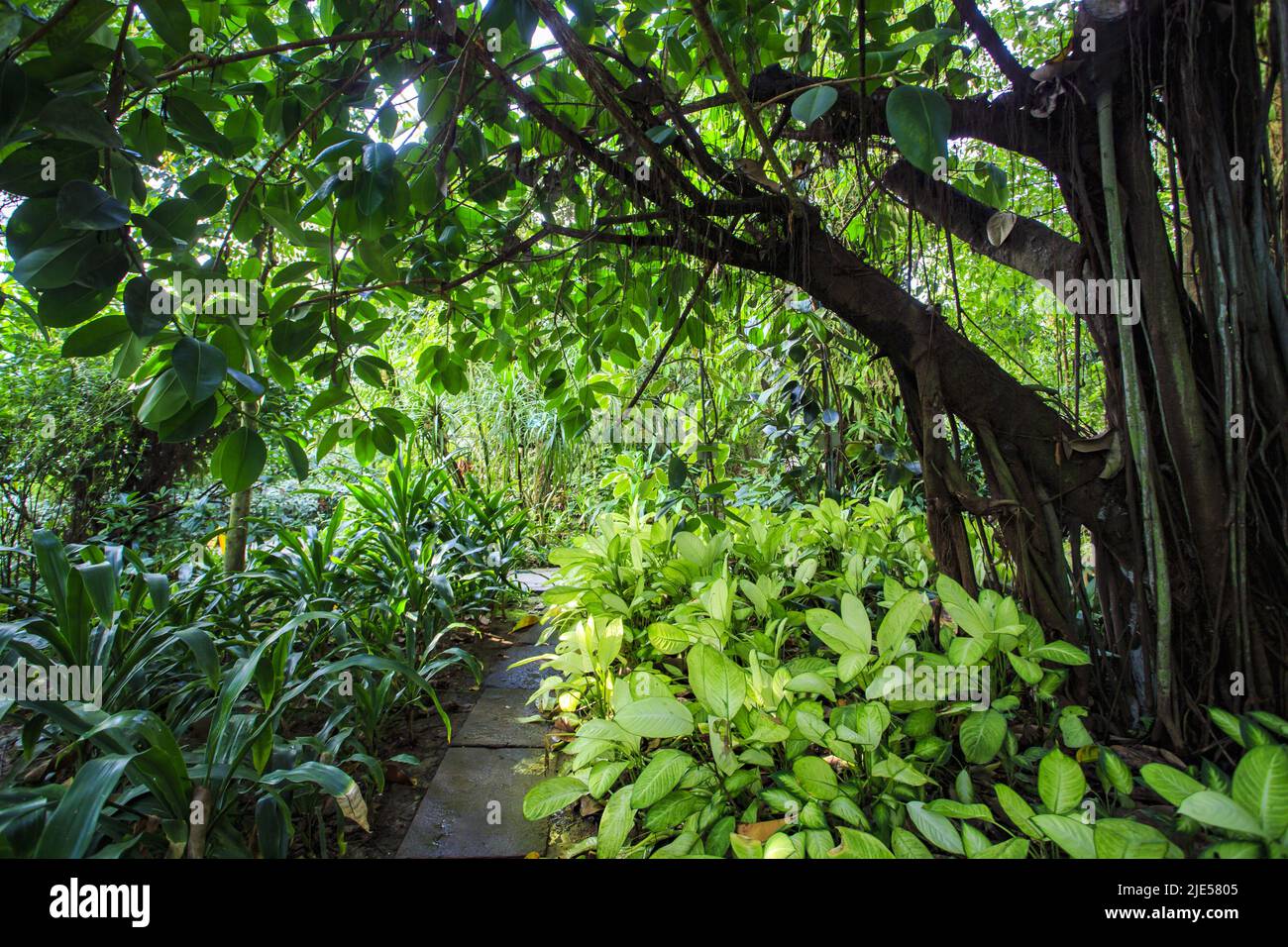 Zhejiang ningbo tourism scenic spots yinzhou Stock Photo - Alamy