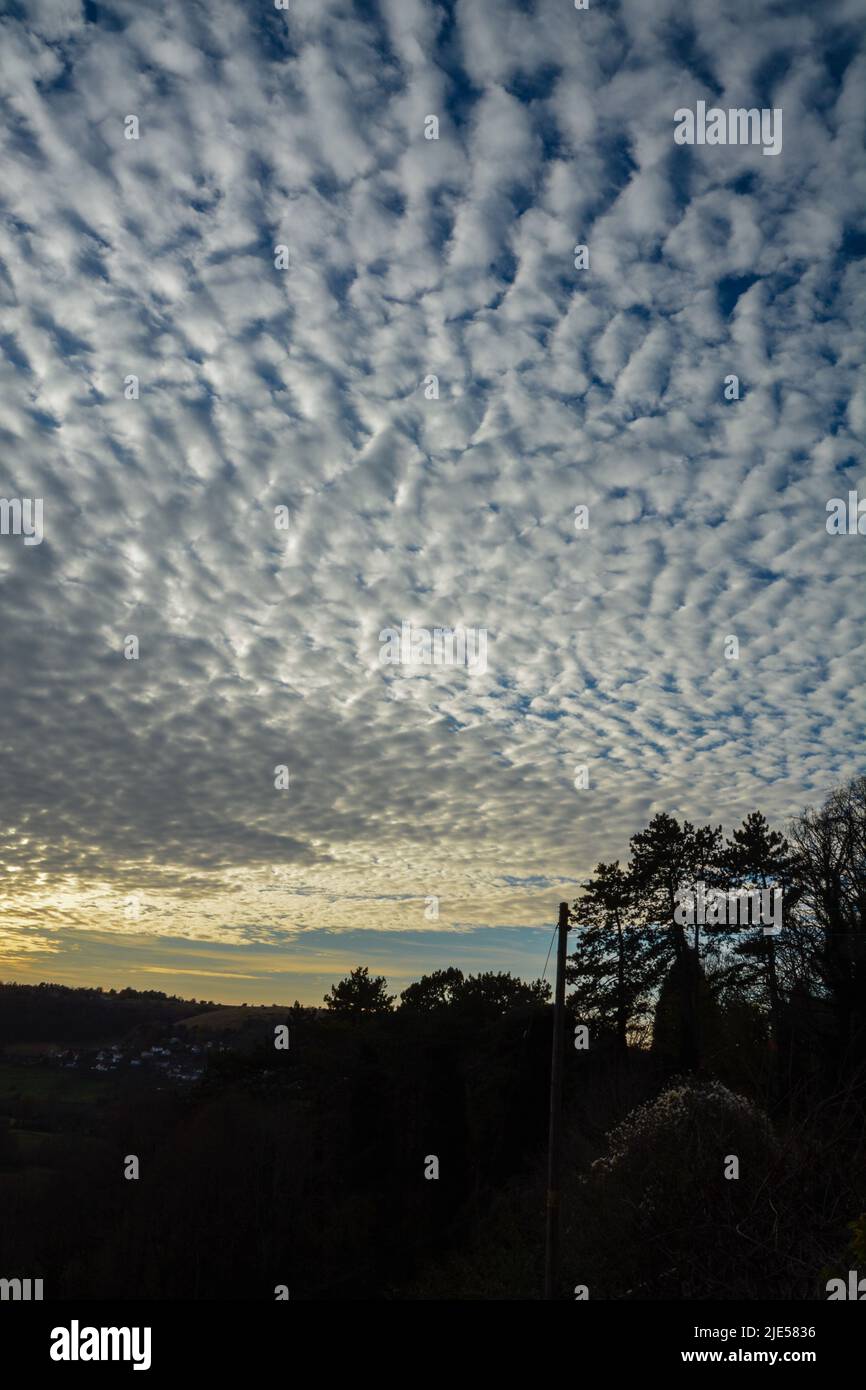 Attractive deck of altocumulus medium level cloud invading the skies ...