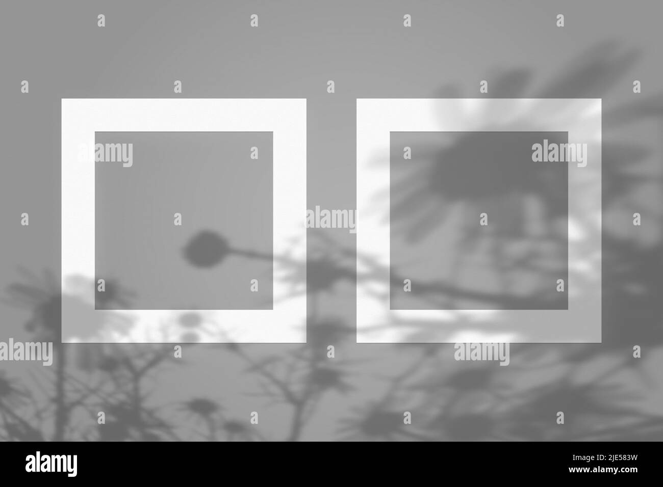 Poster square frames mockup Black and White Stock Photos & Images - Alamy