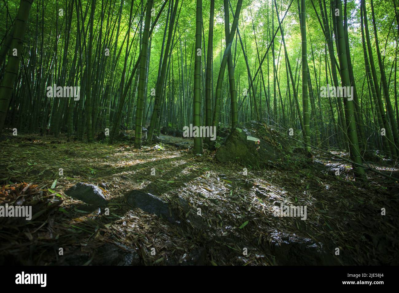 Zhejiang ningbo yinzhou design town mountain roads Stock Photo - Alamy