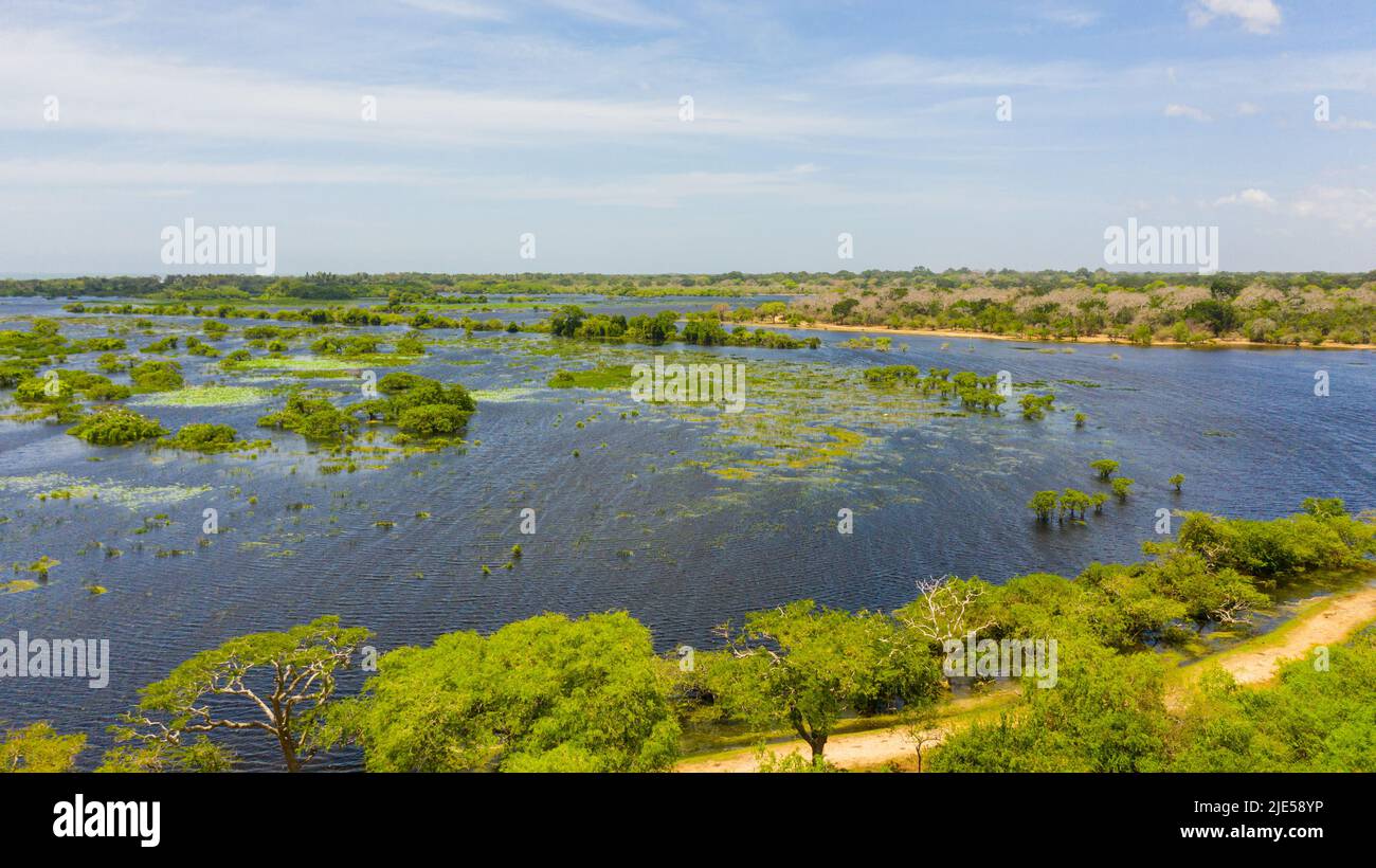 Aerial view lake birds kumana hi-res stock photography and images - Alamy