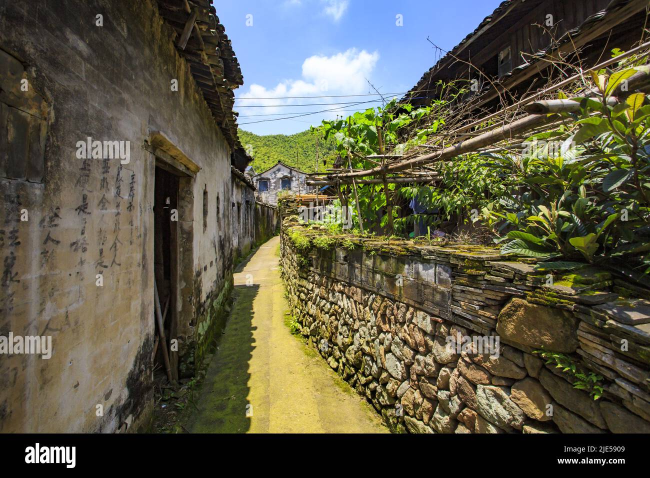 Sha design hi-res stock photography and images - Alamy