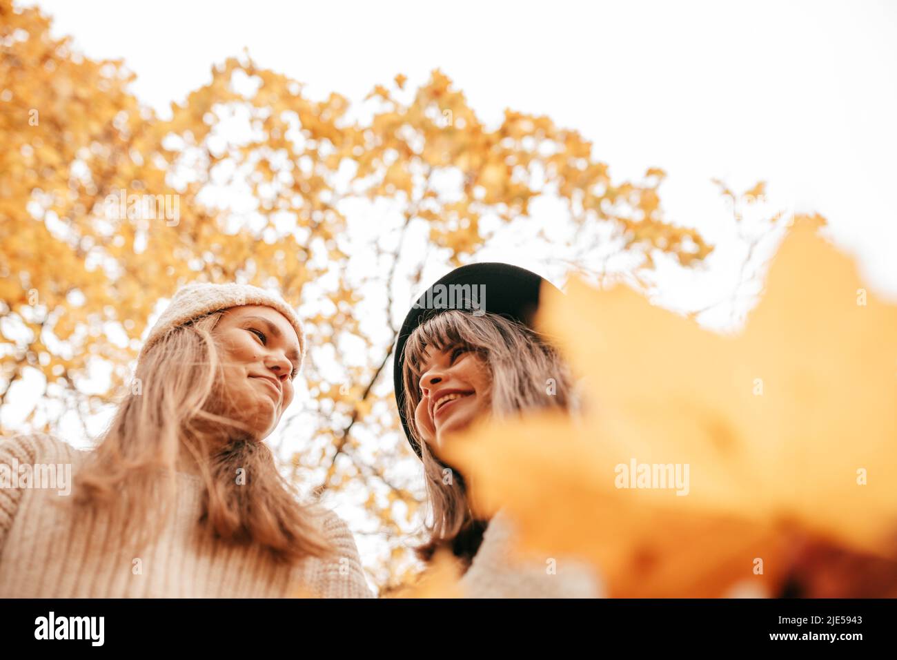Autumn Park. Two girlfriends dressed in knitted cozy sweaters are happy ...