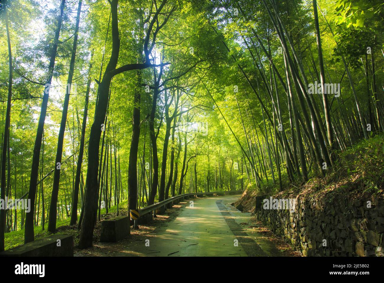 Mountain roads hi-res stock photography and images - Alamy