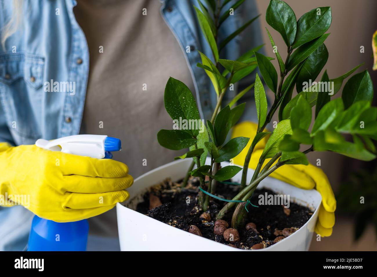 Lots of plant life in water hi-res stock photography and images - Alamy