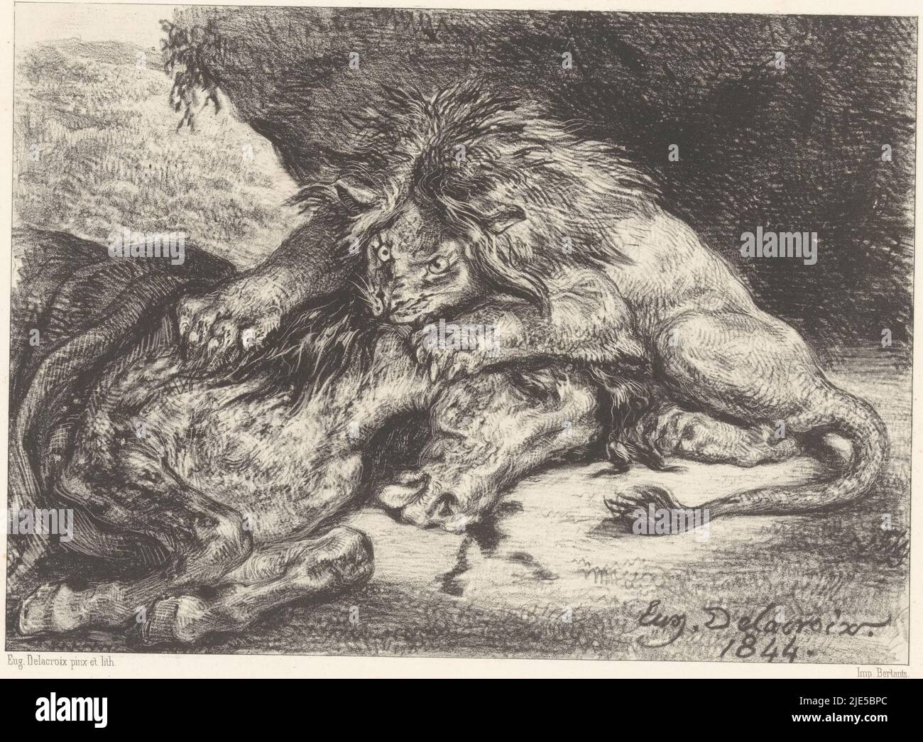 Horse groupe danimaux hi-res stock photography and images - Alamy