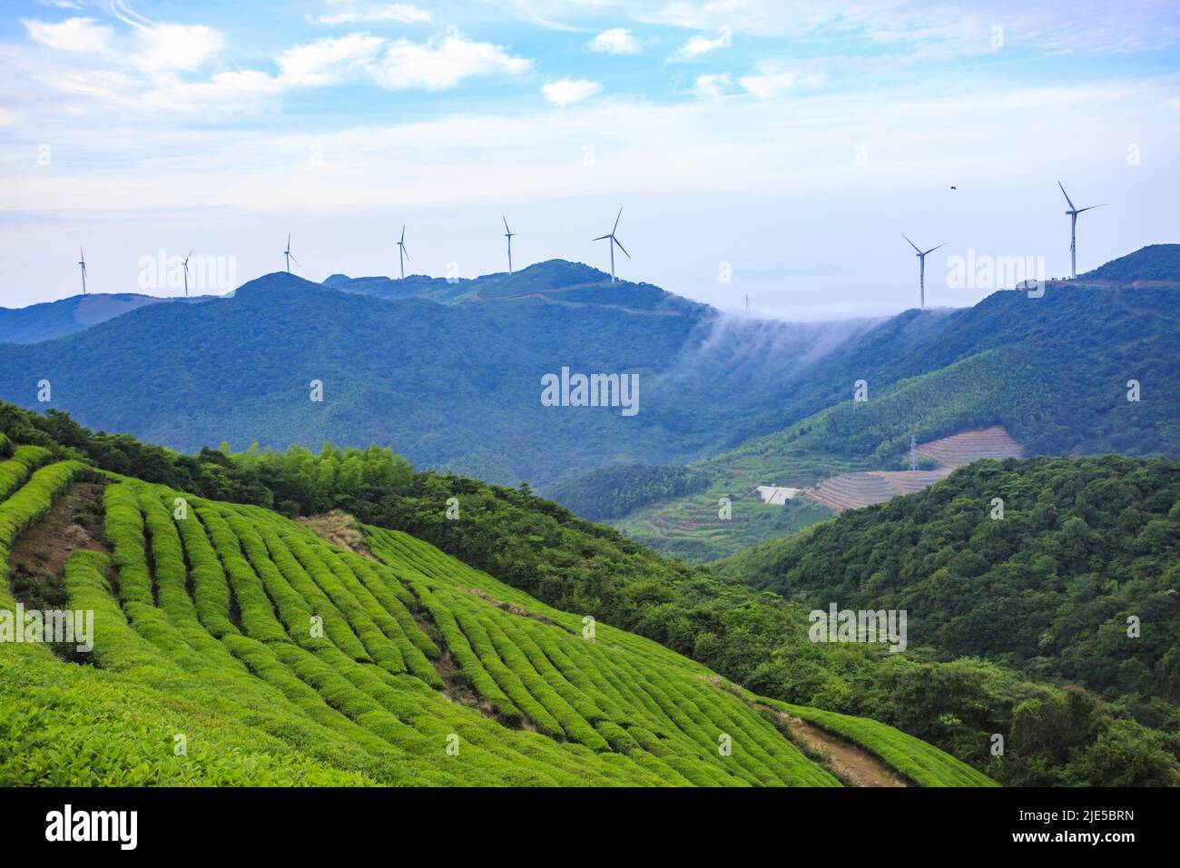 Bai yanshan hi-res stock photography and images - Alamy