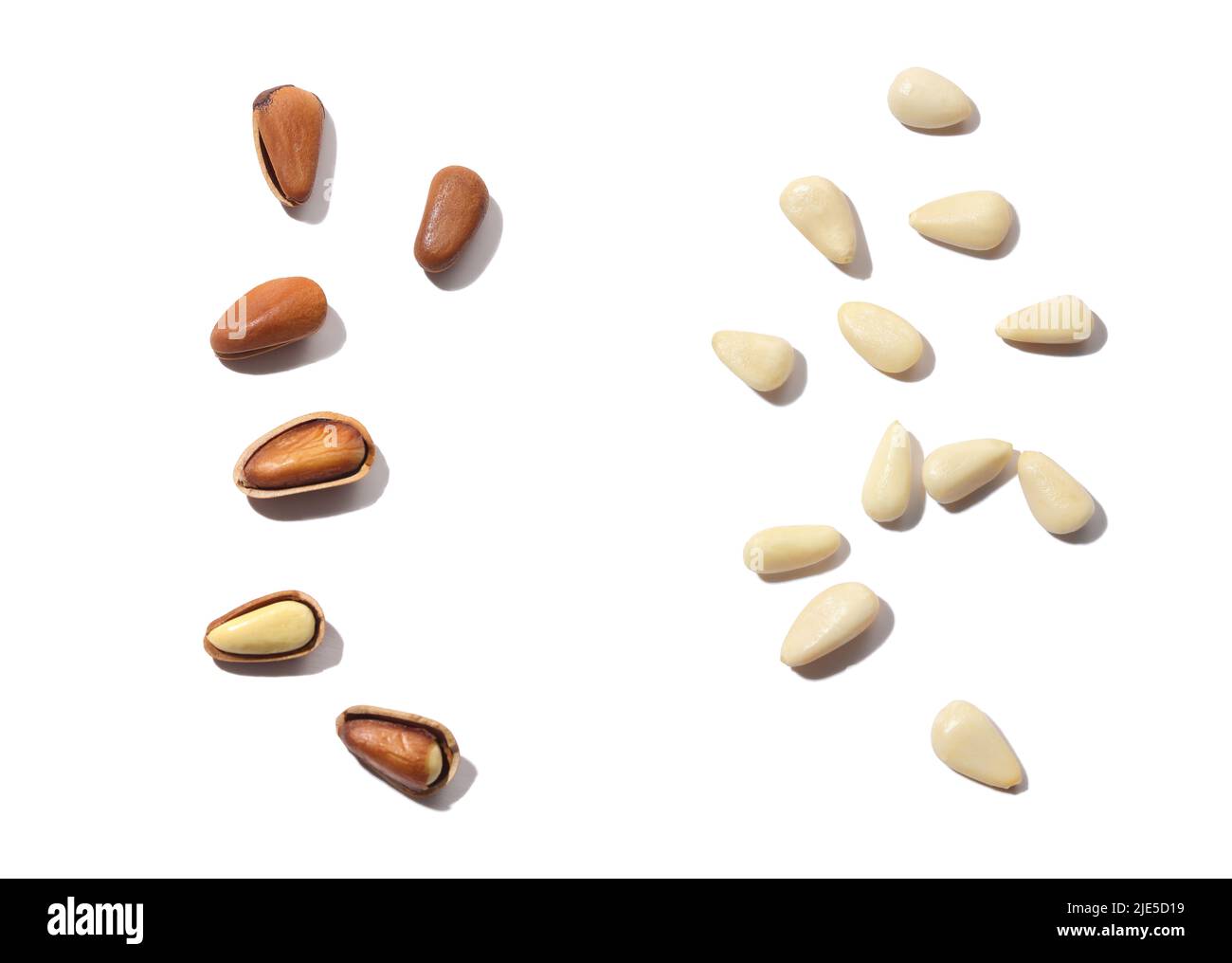 Pine seeds, pine nuts Stock Photo - Alamy