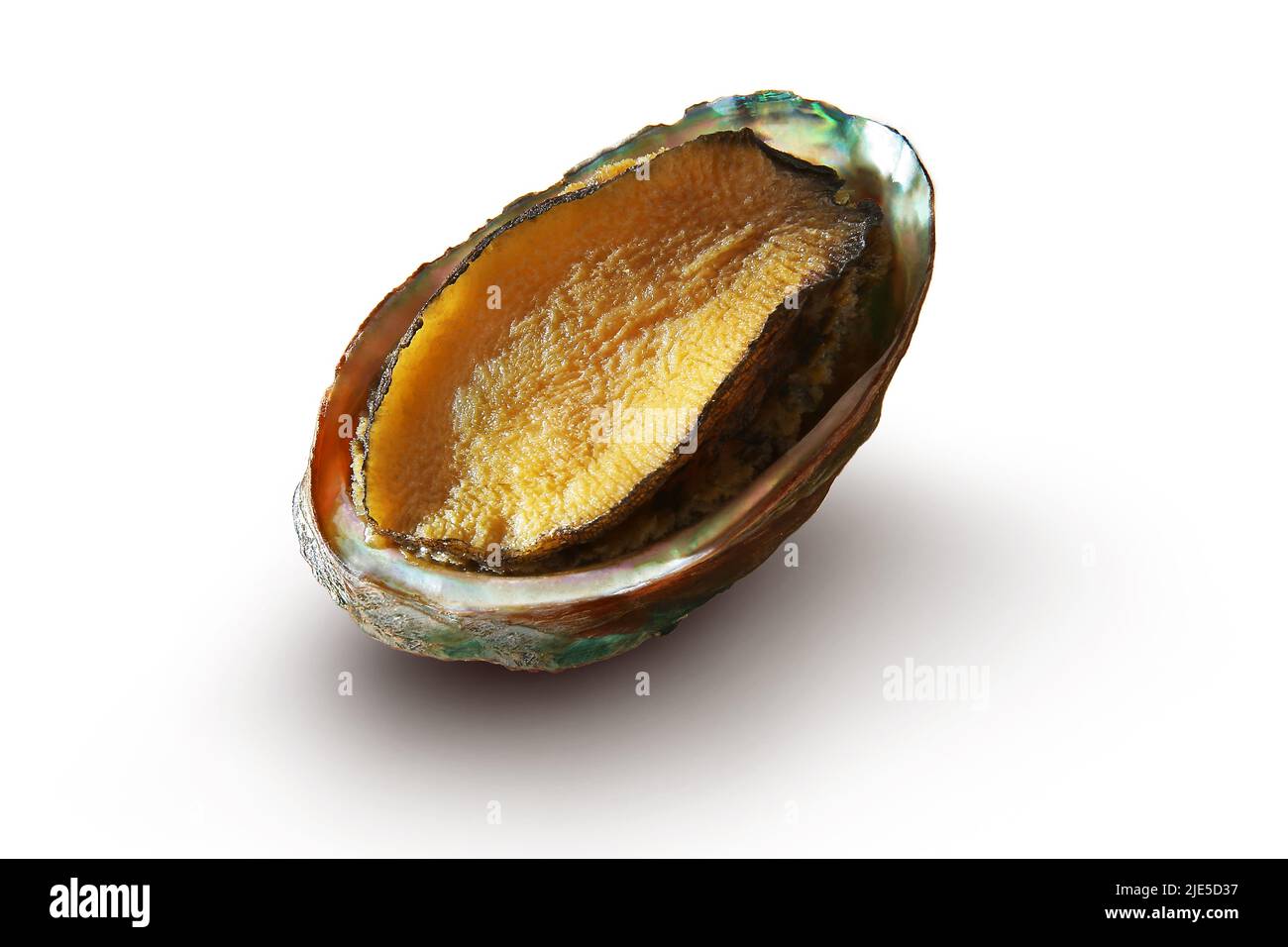 Fresh abalone hi-res stock photography and images - Alamy