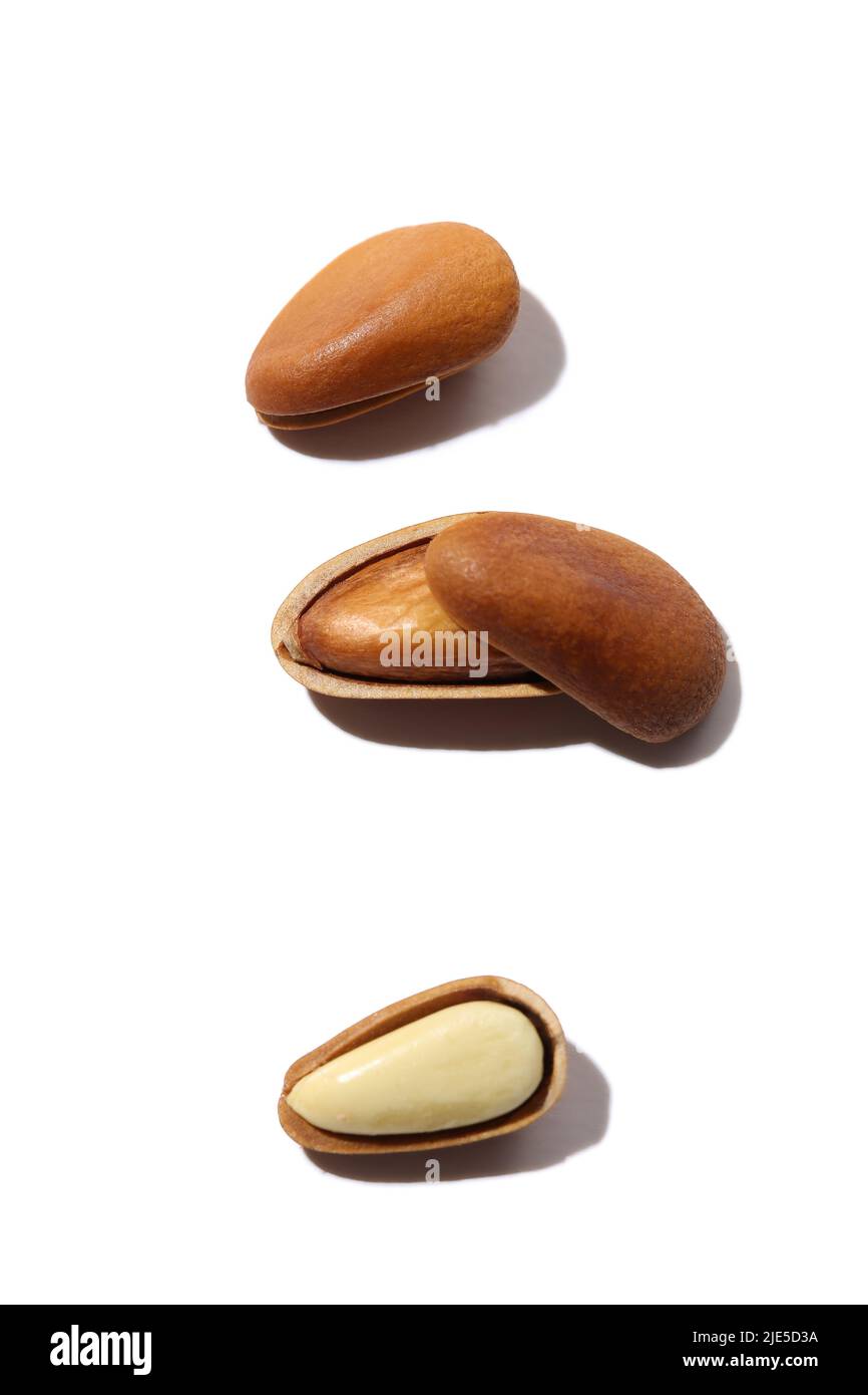 Pine seeds, pine nuts Stock Photo - Alamy