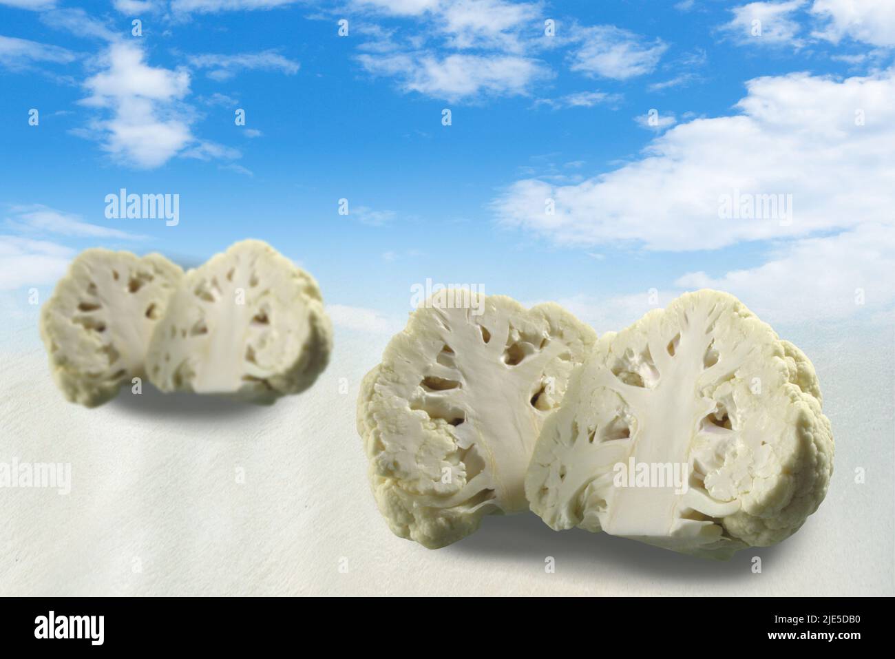 The concept of computer-generated color graphics and material texture ...