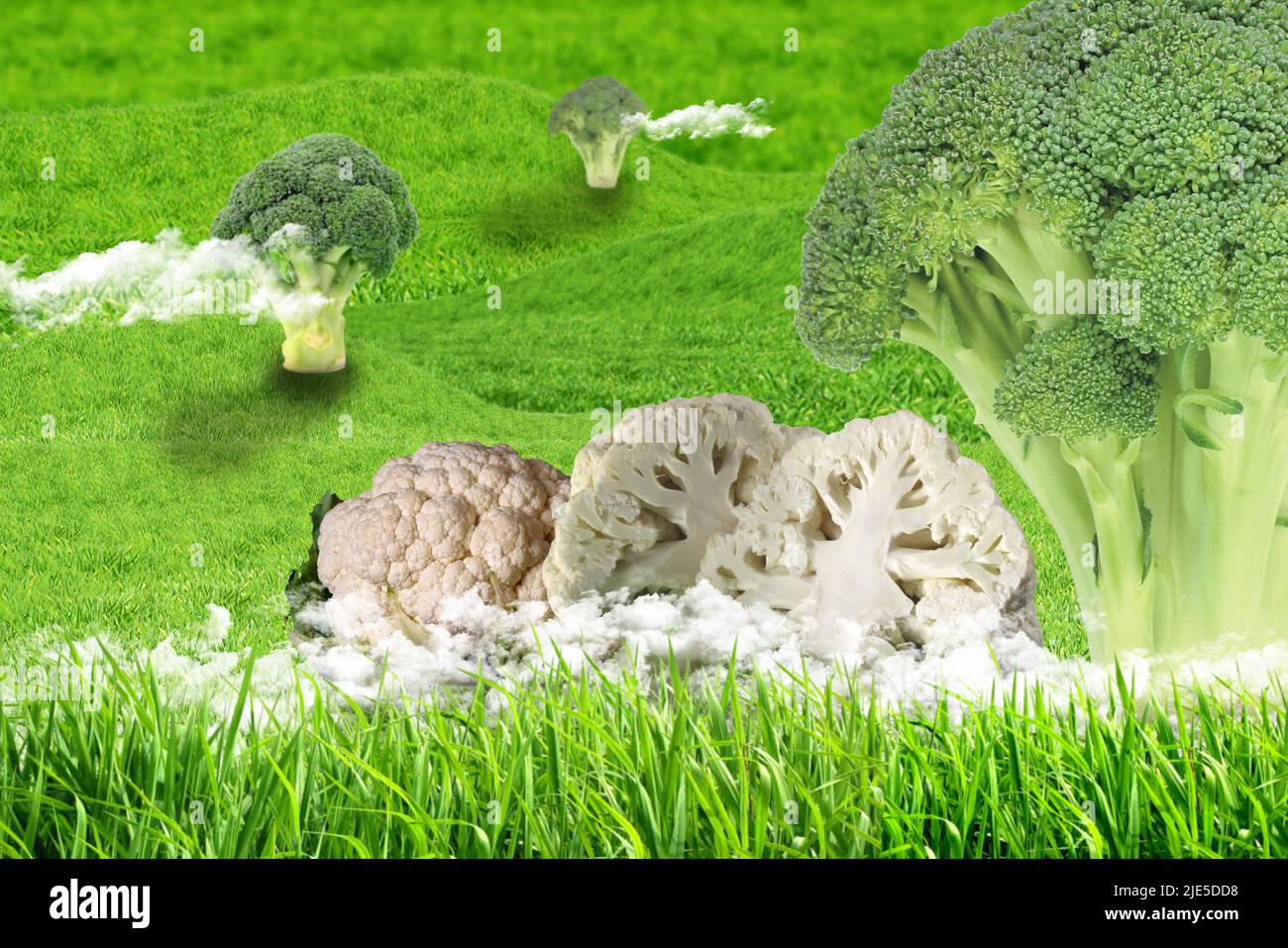 The concept of computer-generated color graphics and material texture ...