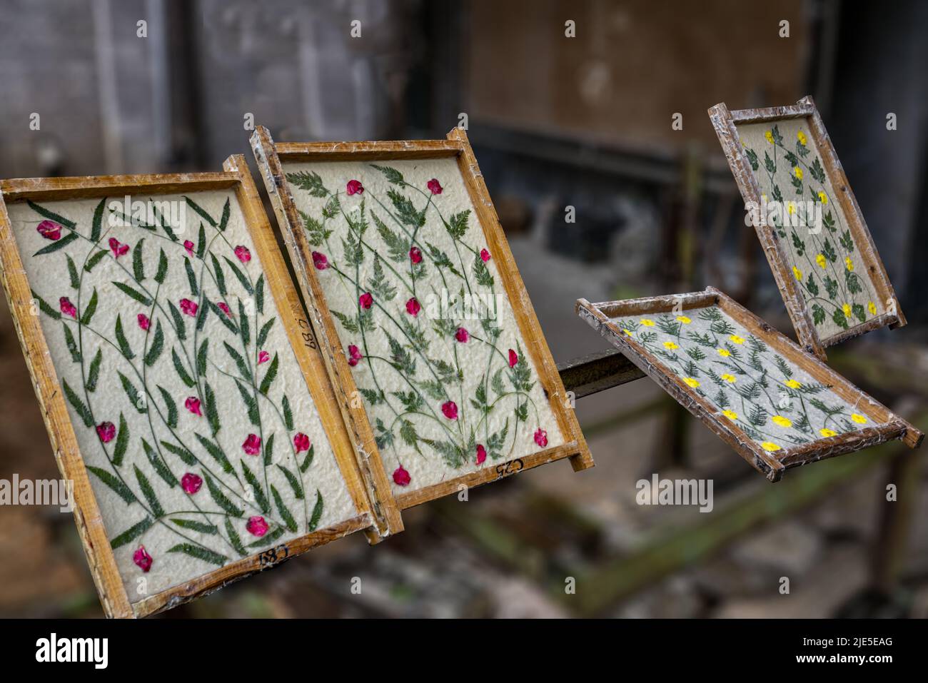 Papermaking process hi-res stock photography and images - Alamy