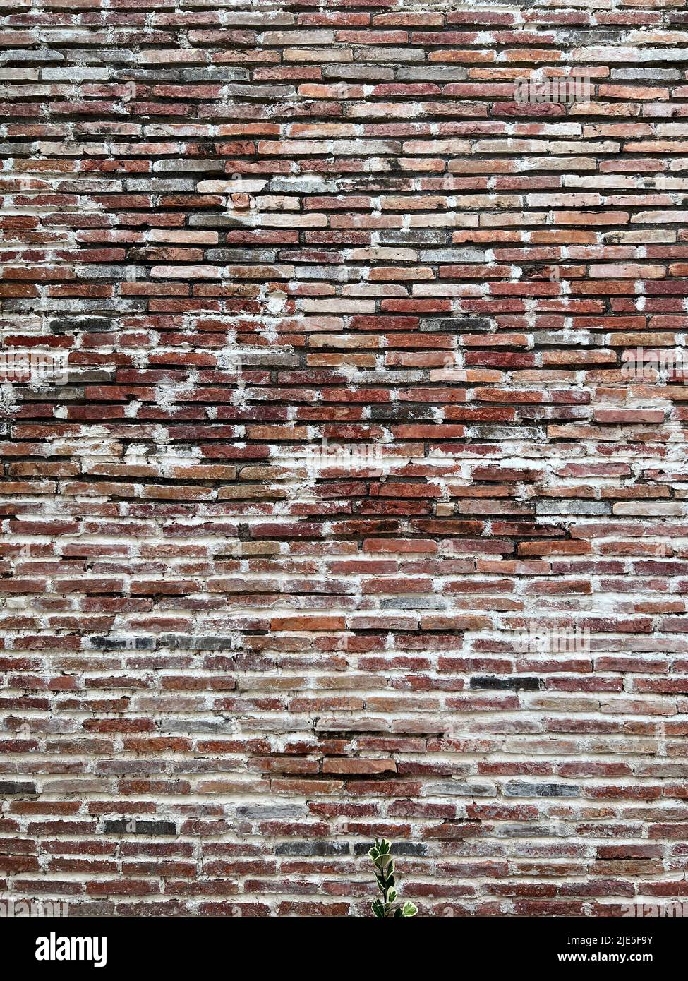 Red brick wall background in various tones of Red, constructed as rows ...
