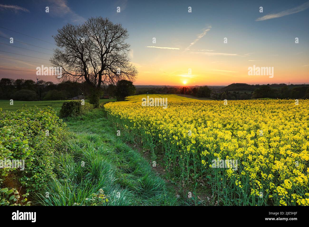 Battlefield hill sunset Stock Photo - Alamy
